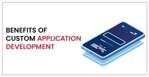 Benefits of Custom Application Development | TechnBrains Blog